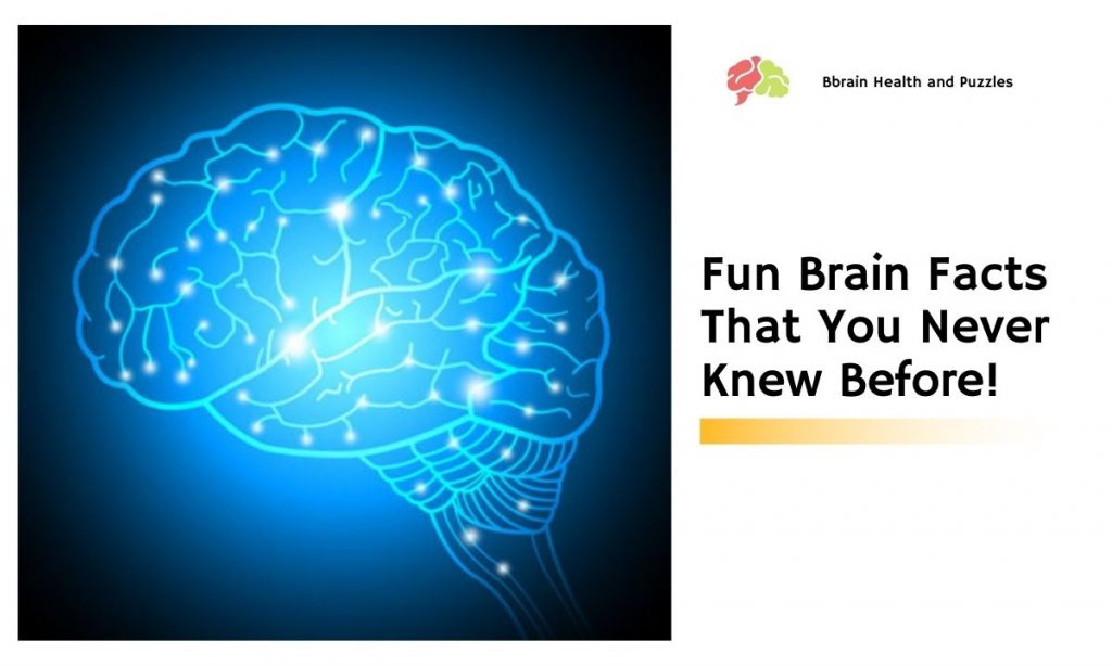 Fun Brain Facts That You Never Knew Before! | Brain Health and Puzzles