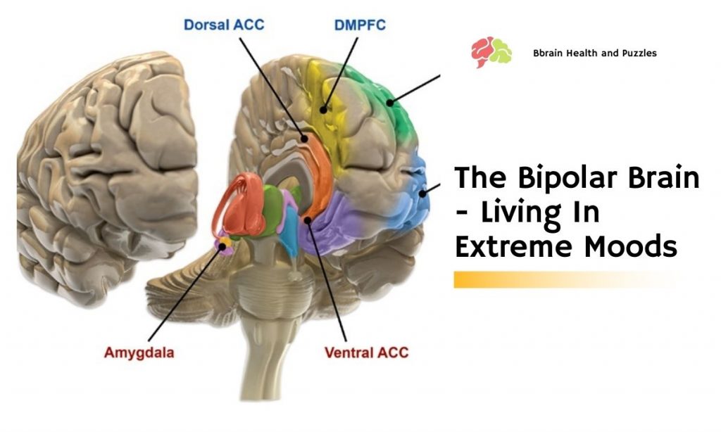 The Bipolar Brain - Living In Extreme Moods | Brain Health and Puzzles