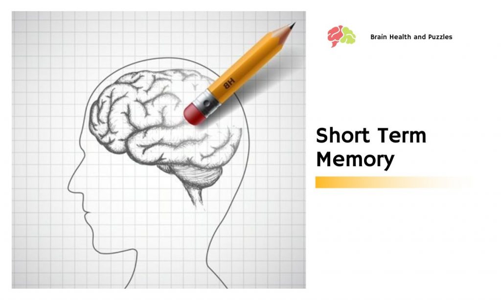 Knowing More About Short Term Memory | Brain Health and Puzzles